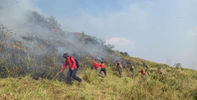 Atienden Protección Civil incendio en Cerro Mono Pelón, Huimanguillo ...